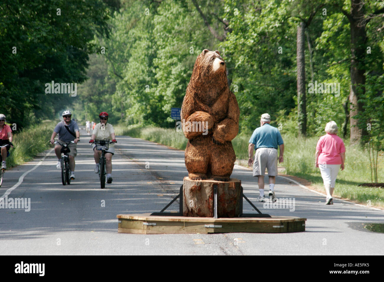 Chesapeake Virginia,Dismal Swamp Canal Trail,bicycle,bicycling,riding ...