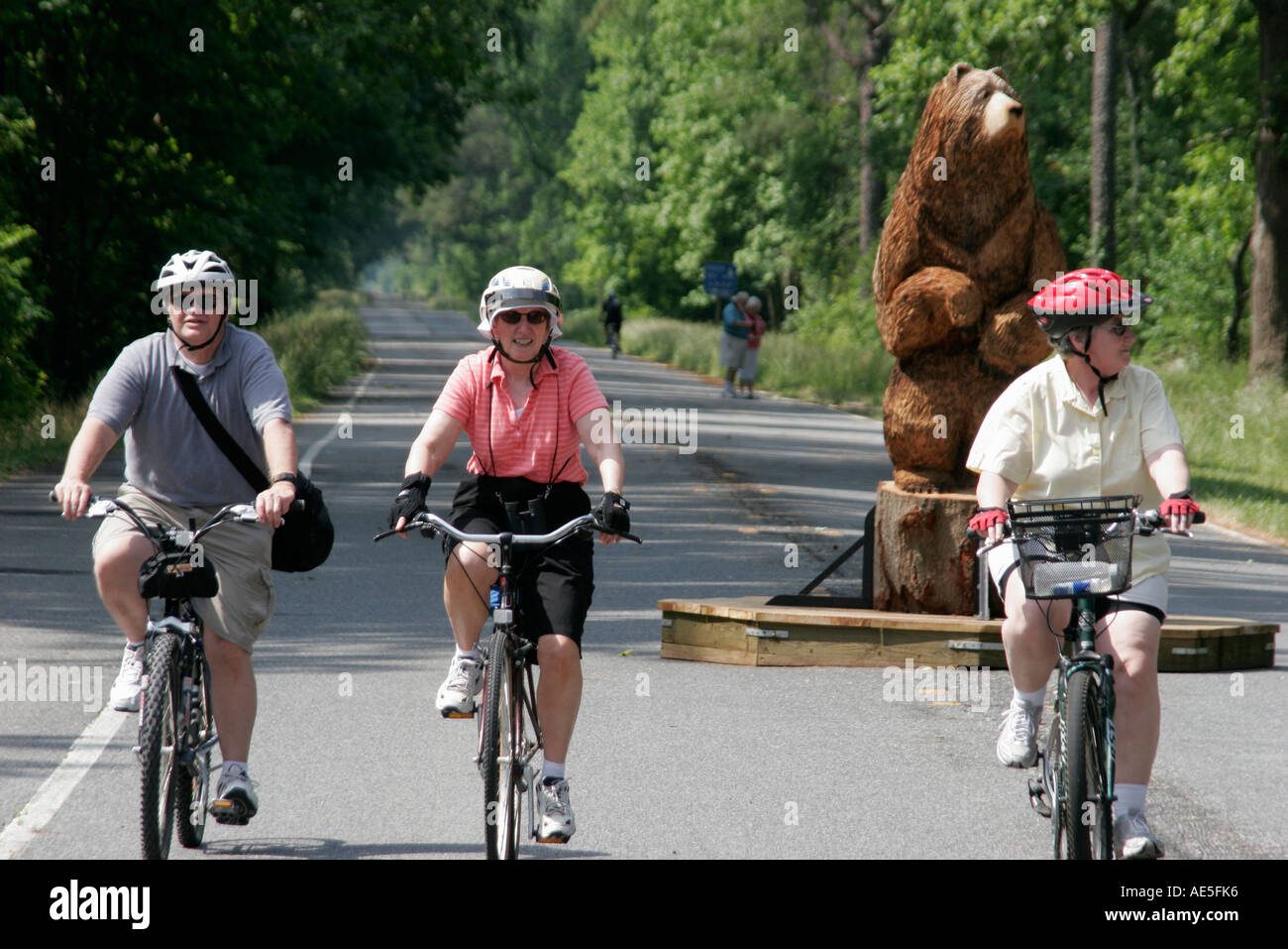 Chesapeake Virginia,Dismal Swamp Canal Trail,bicycle,bicycling,riding ...