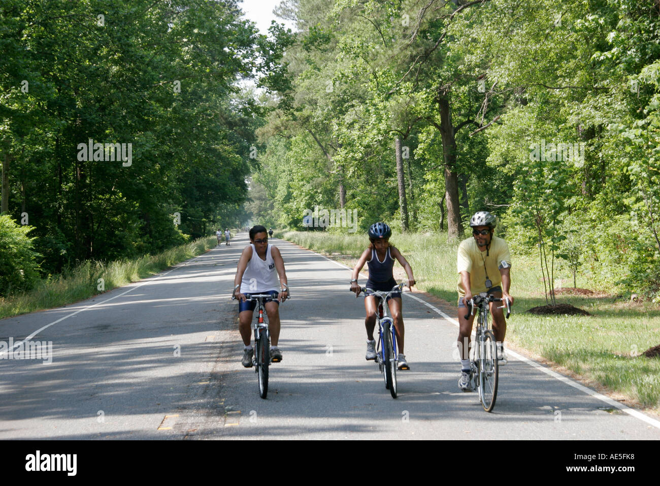 Chesapeake Virginia,Dismal Swamp Canal Trail,bicycle,bicycling,riding ...
