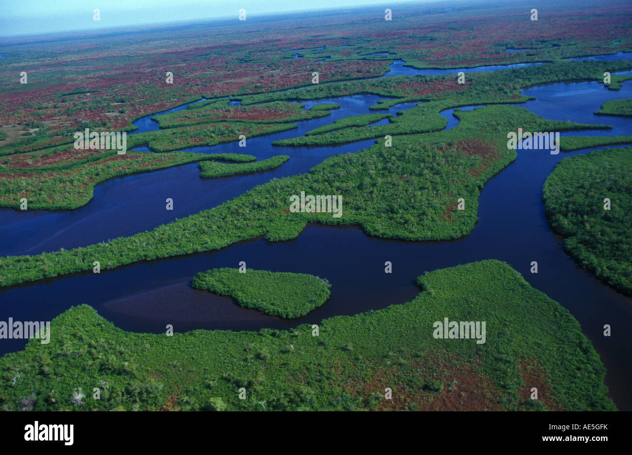 Freshwater sloughs hi-res stock photography and images - Alamy