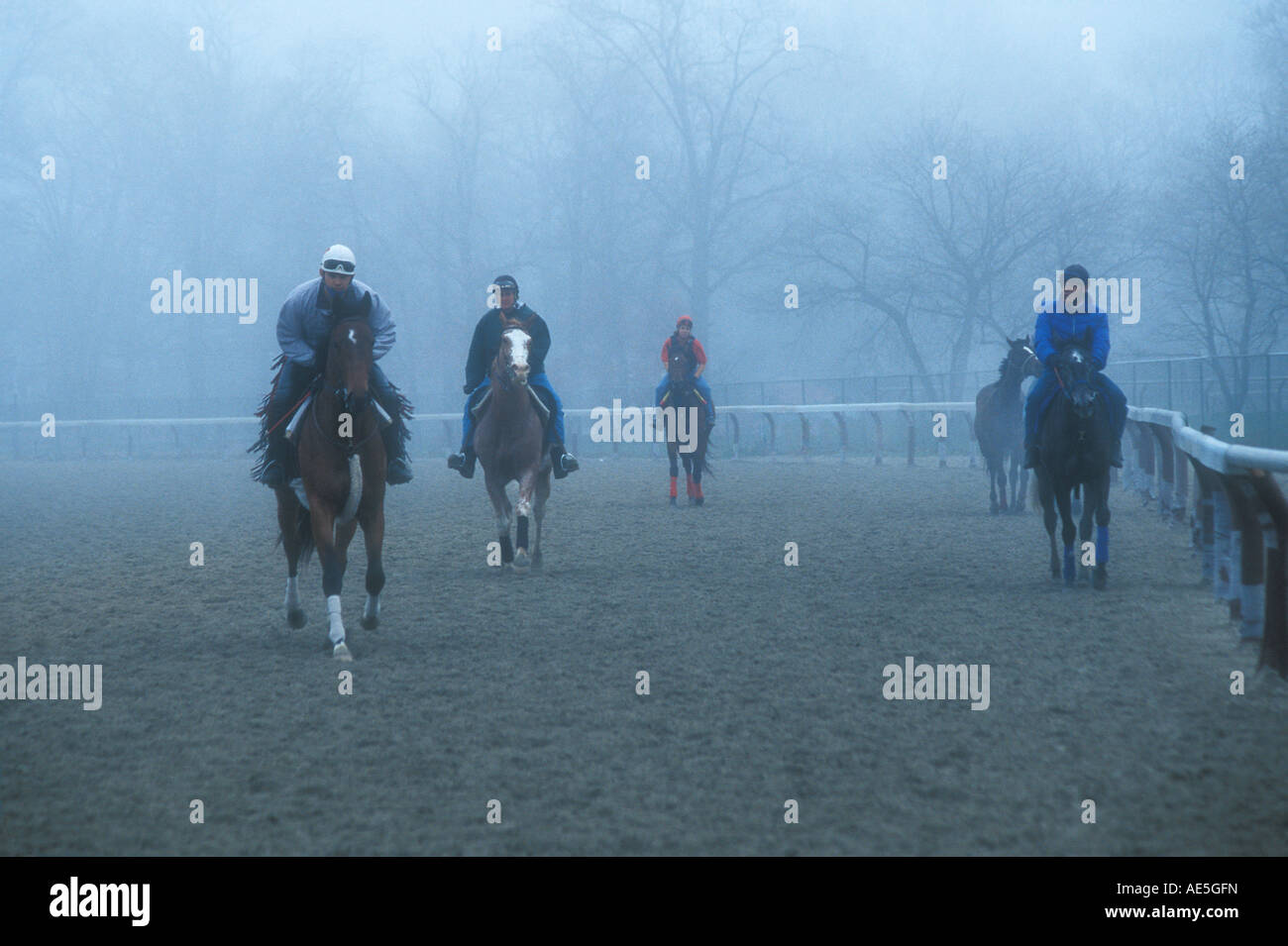 Horse and rider morning exercise racing race track hi-res stock ...
