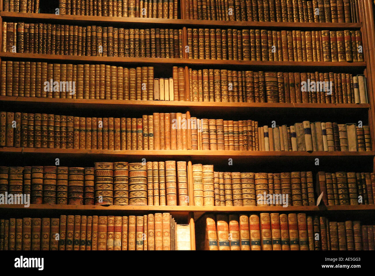 Old national library hi-res stock photography and images - Alamy