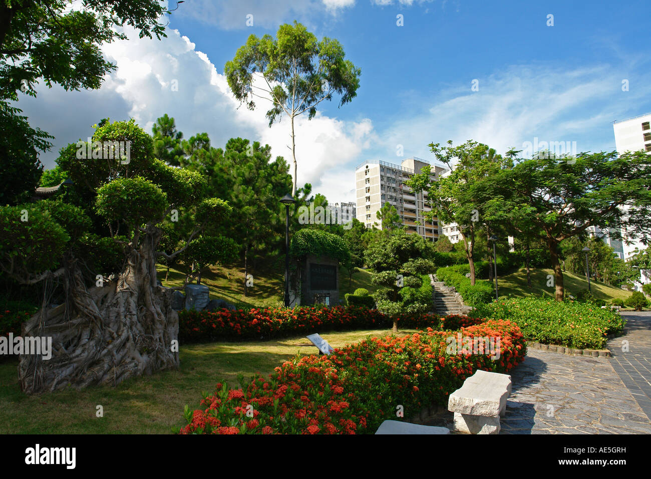 Kowloon city park Kowloon Hong Kong China Stock Photo - Alamy