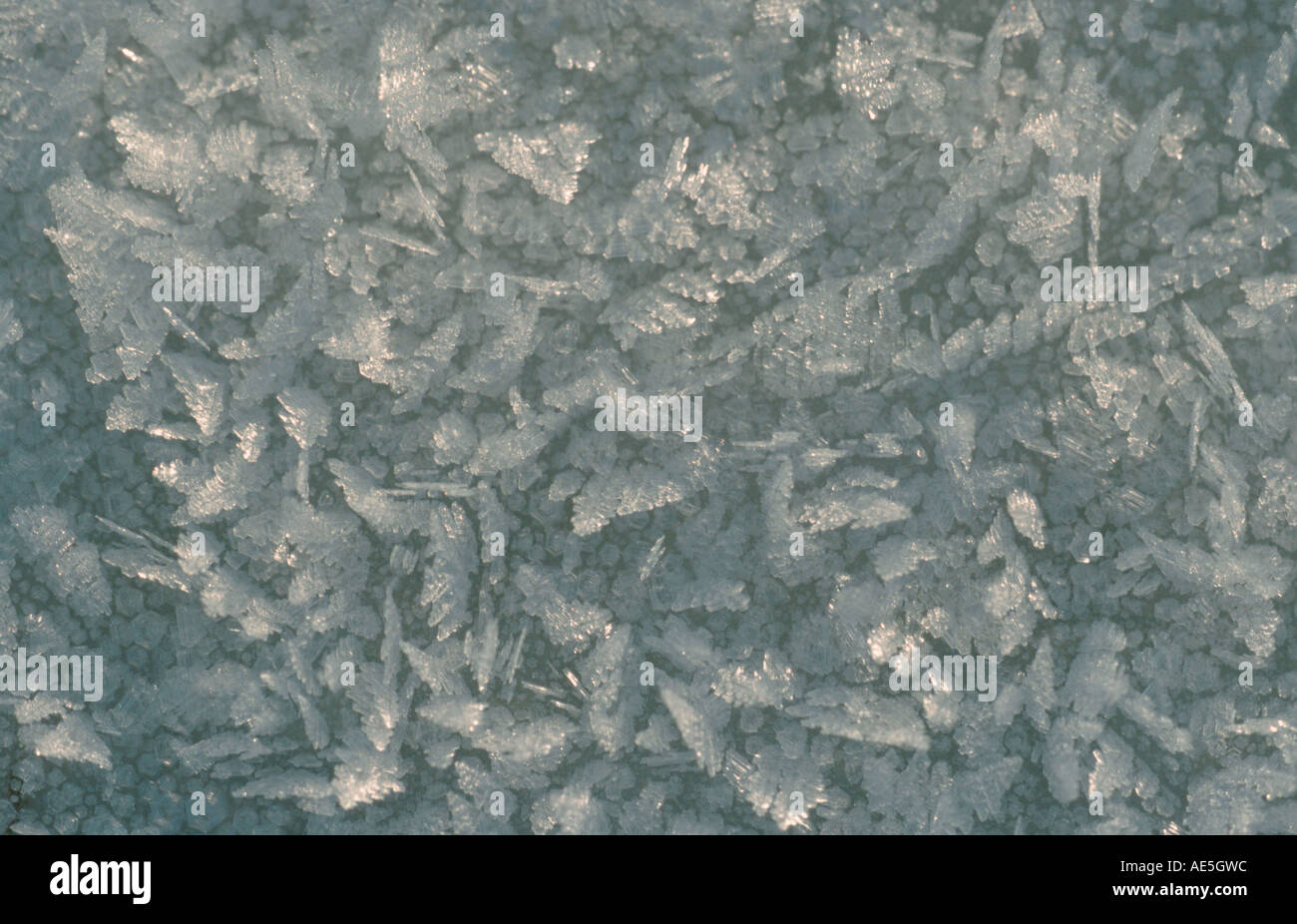 Frostwork hi-res stock photography and images - Alamy