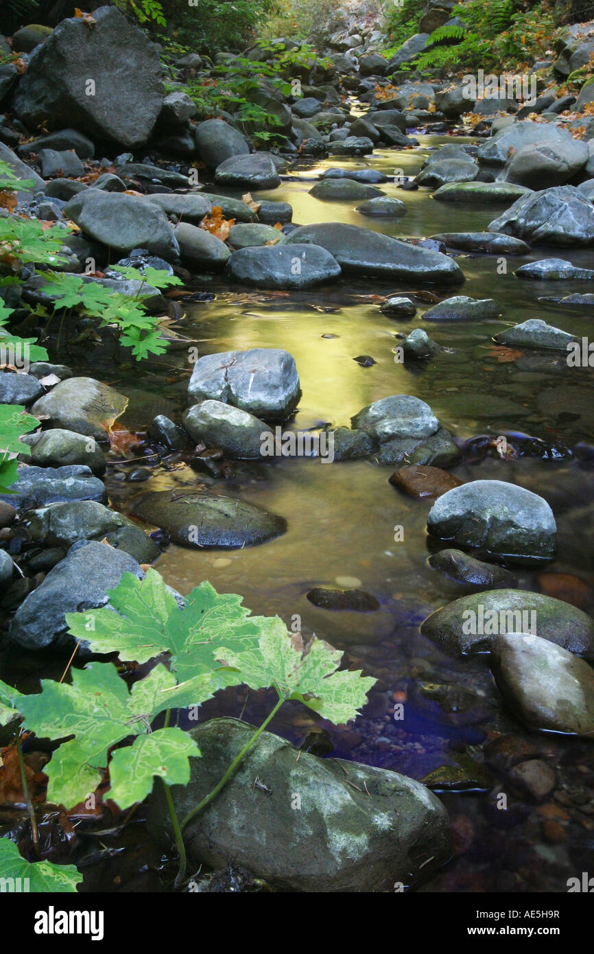 Corralitos hi-res stock photography and images - Alamy