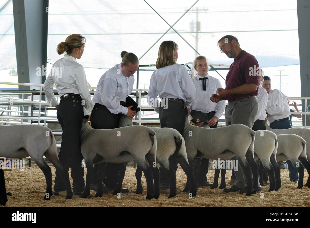 Judge Giving Instruction To Teenage Girls In A Sheep Judging Contest At