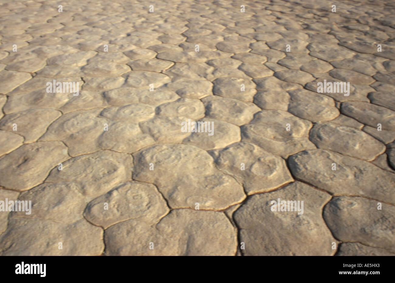 Desert ground hi-res stock photography and images - Alamy