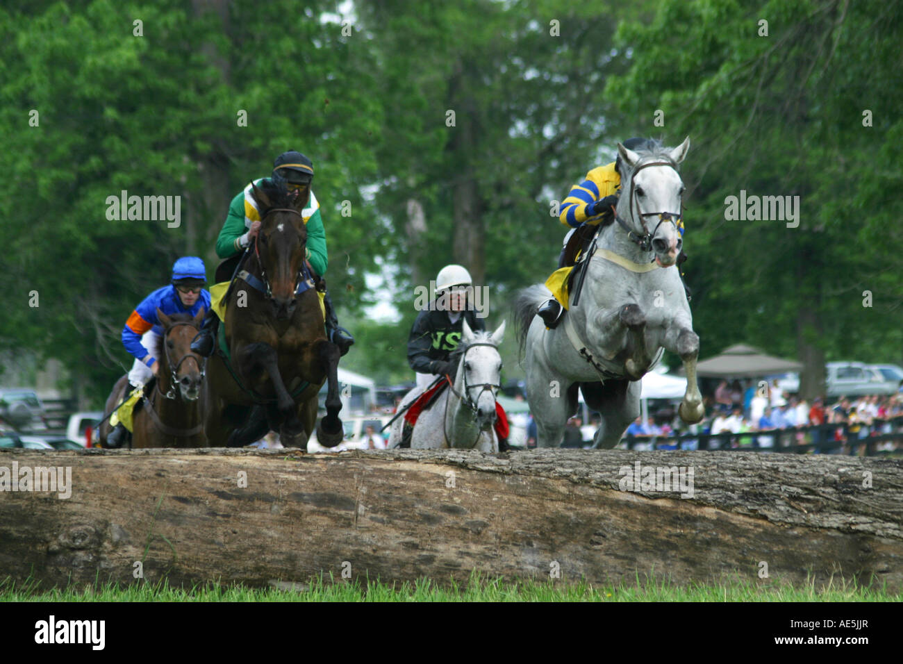 Horses jumping over a log in a steeplechase race Stock Photo - Alamy