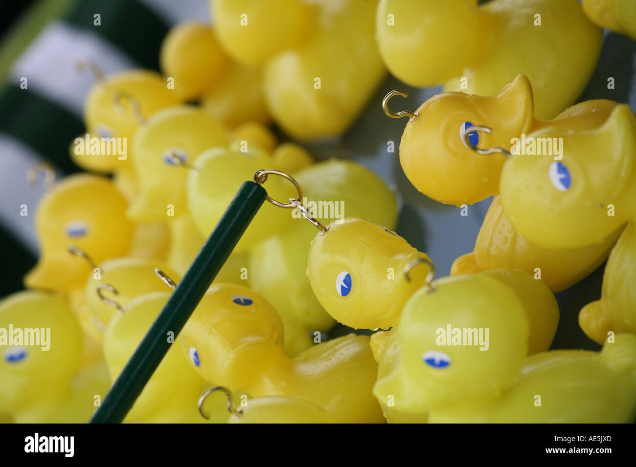 Hook a Duck Stock Photo - Alamy