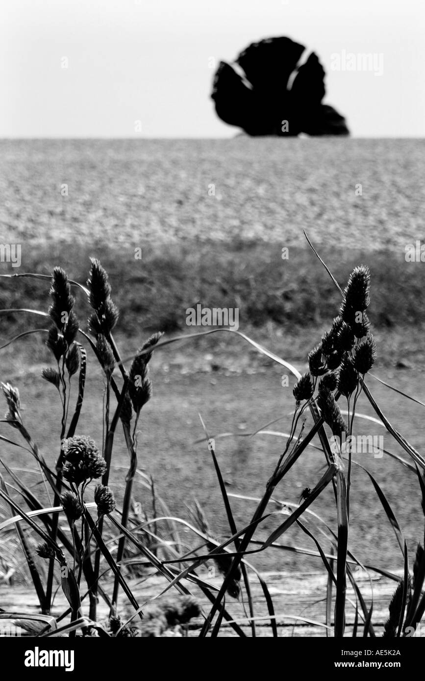 Scenic sculpture Black and White Stock Photos & Images - Alamy