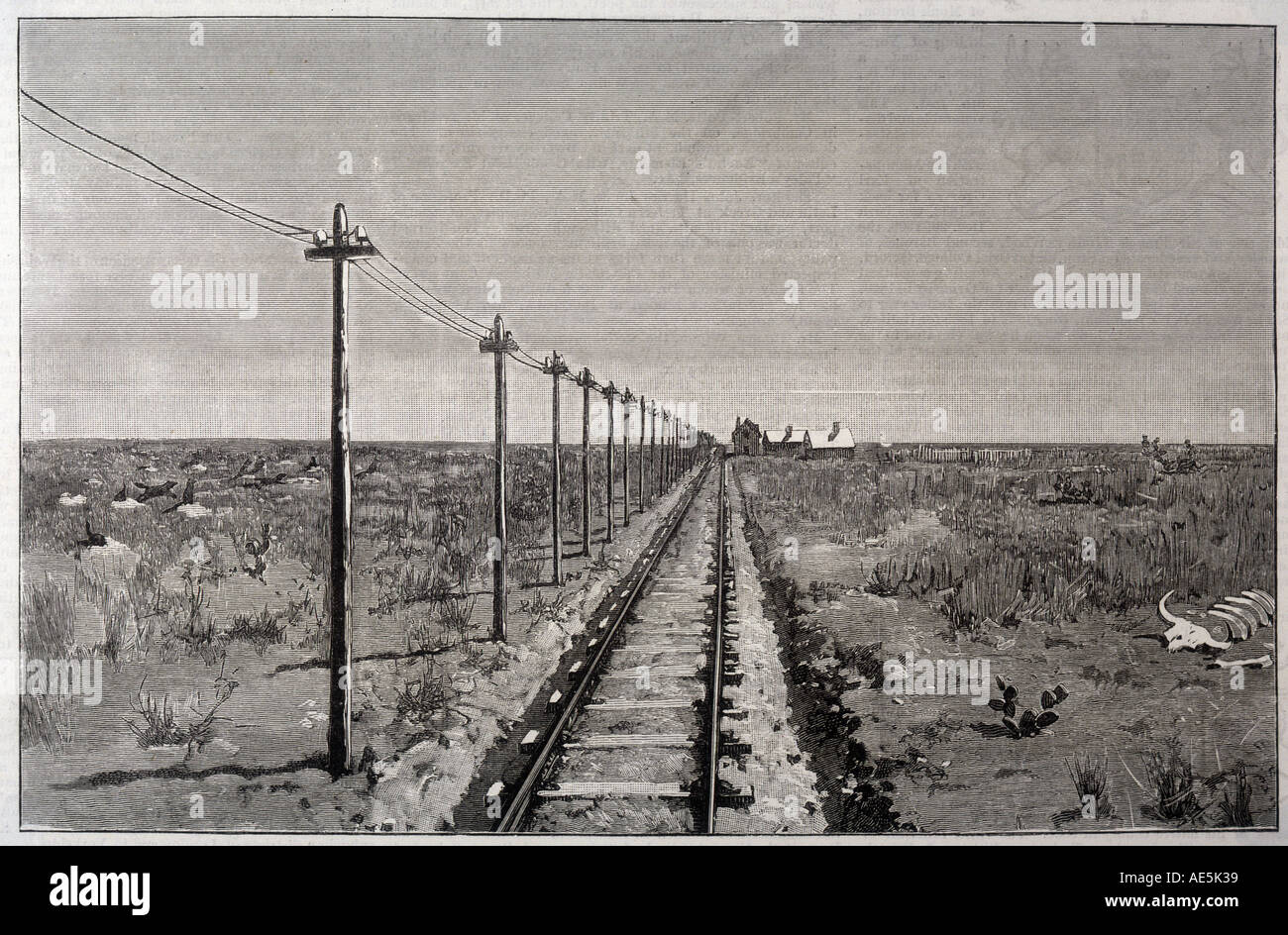 Telegraph lines railway hi-res stock photography and images - Alamy