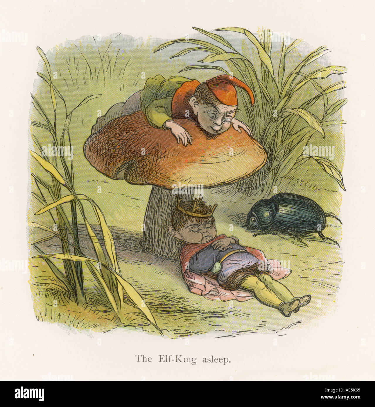 Toadstool folklore history historical hi-res stock photography and ...