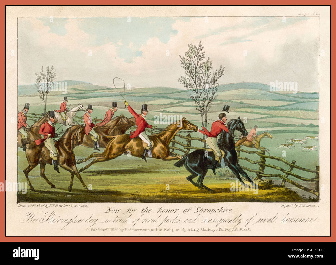 Shavington Day Hunting Stock Photo - Alamy