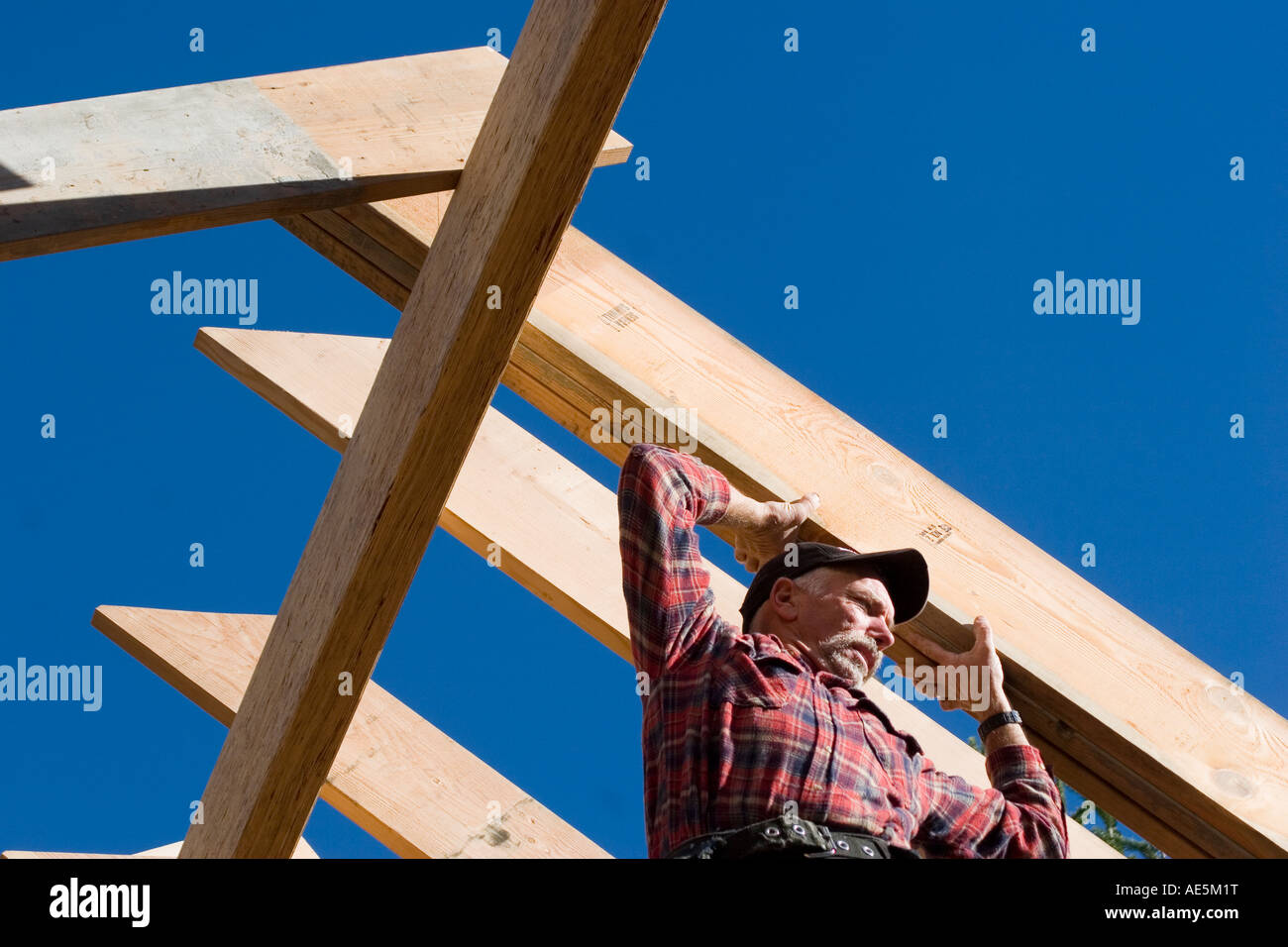 Carpenter lifting roof rafters into place on the ridge beam at a ...