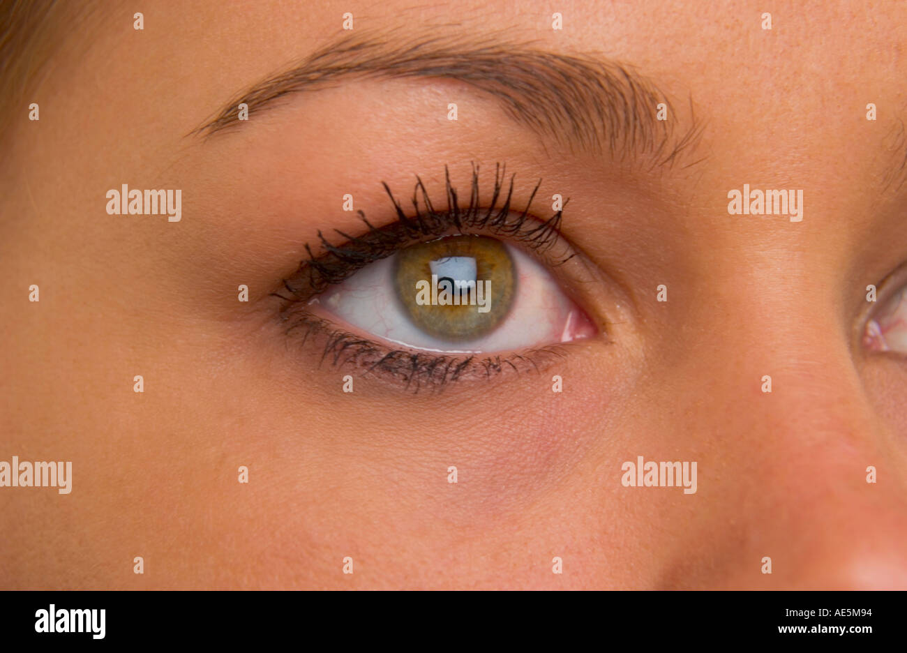Female hazel eye close up hi-res stock photography and images - Alamy