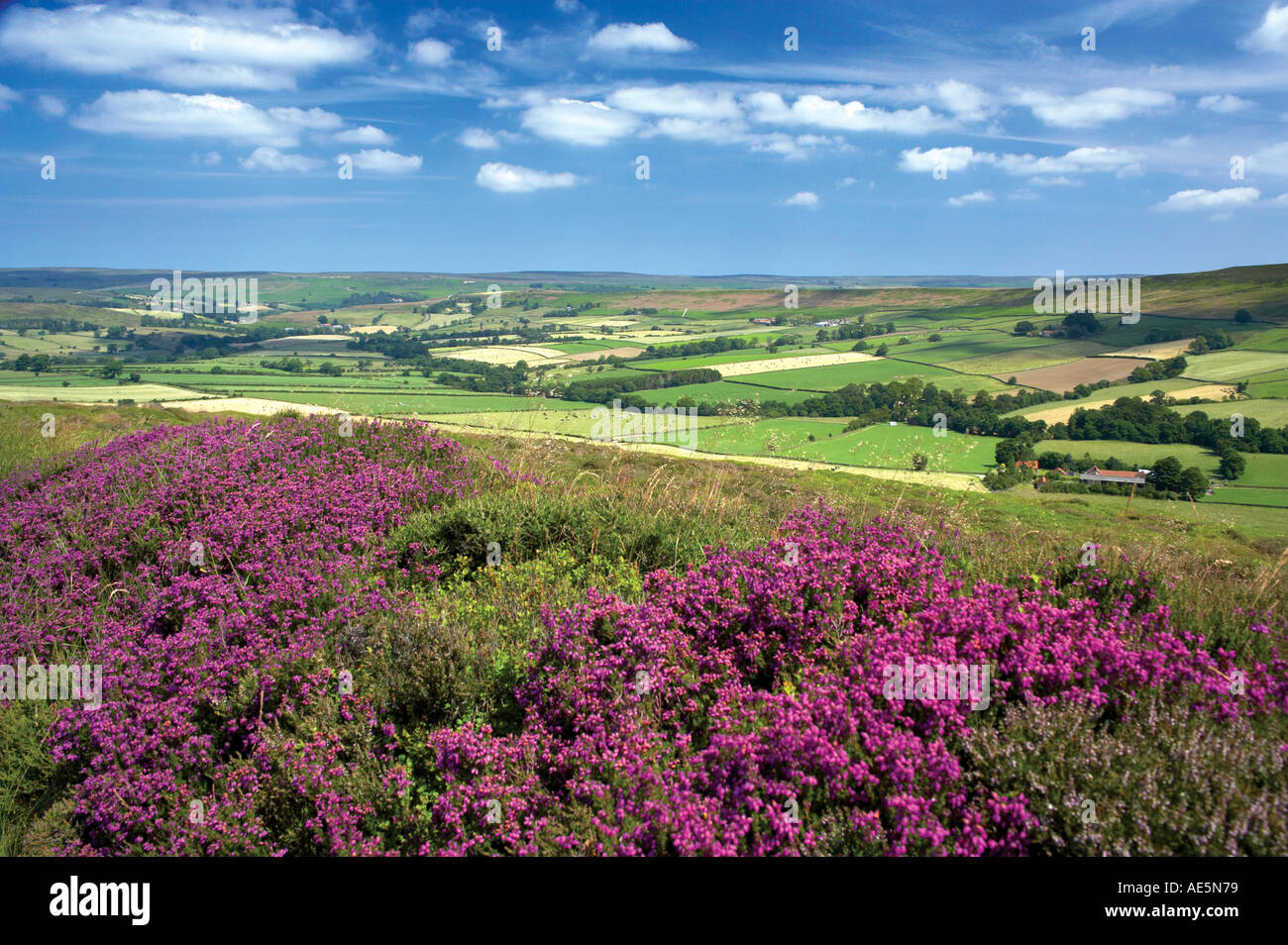 Westerdale North Yorkshire Moors England Stock Photo - Alamy