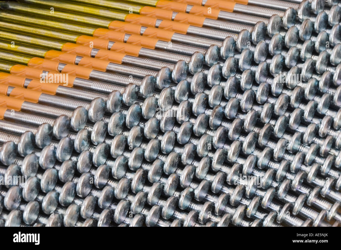 Rows of nails in a strip for use in a nail gun during construction ...