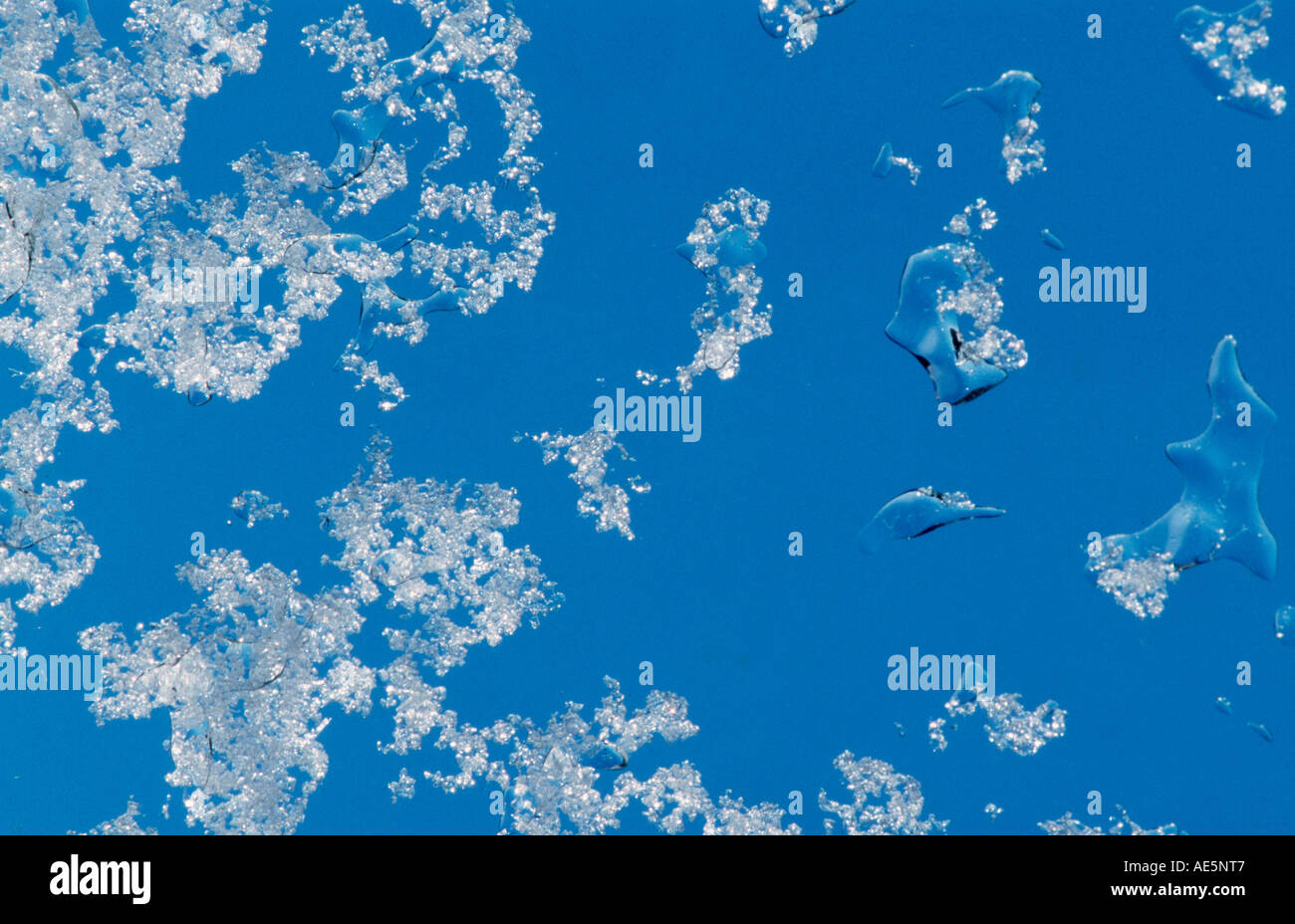 Frostwork hi-res stock photography and images - Alamy