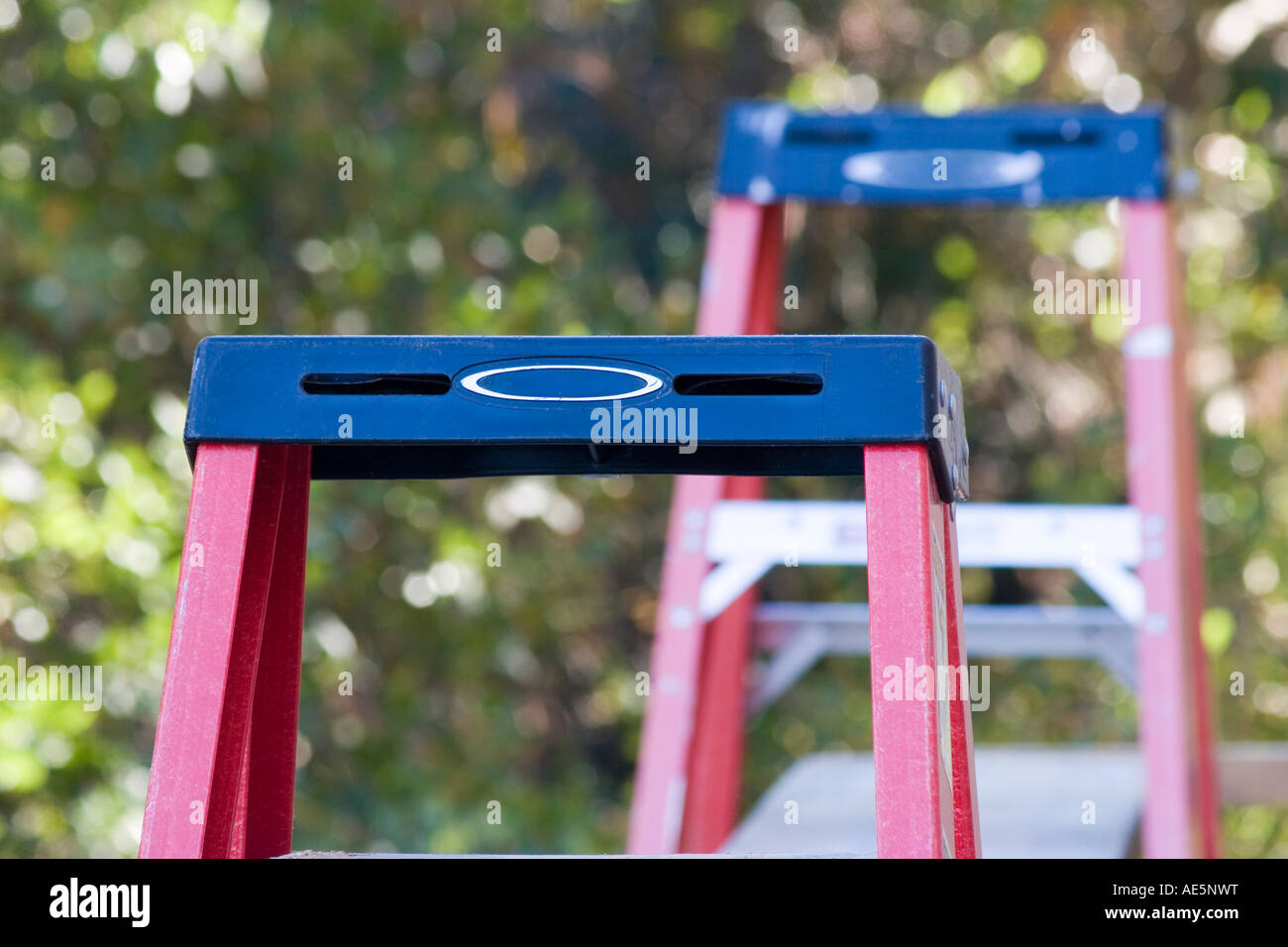 Rung plant hi-res stock photography and images - Alamy