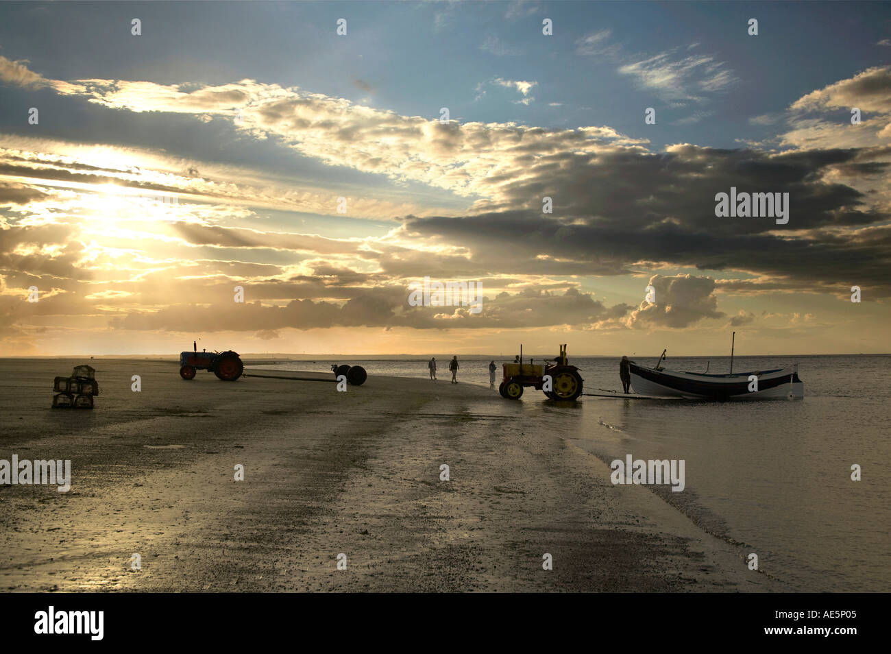 Redcat hi-res stock photography and images - Alamy