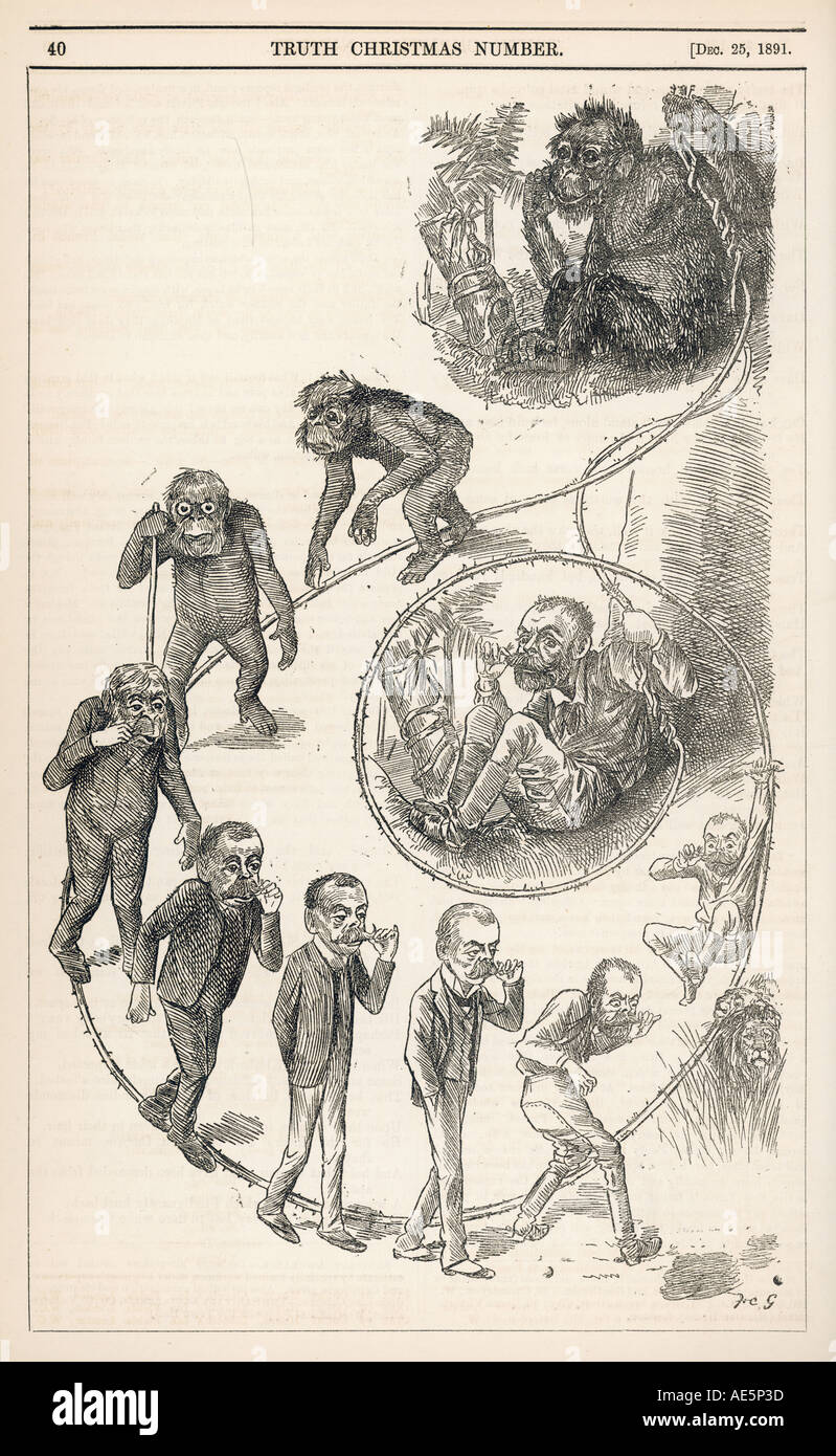 Evolution of man from ape hi-res stock photography and images - Alamy