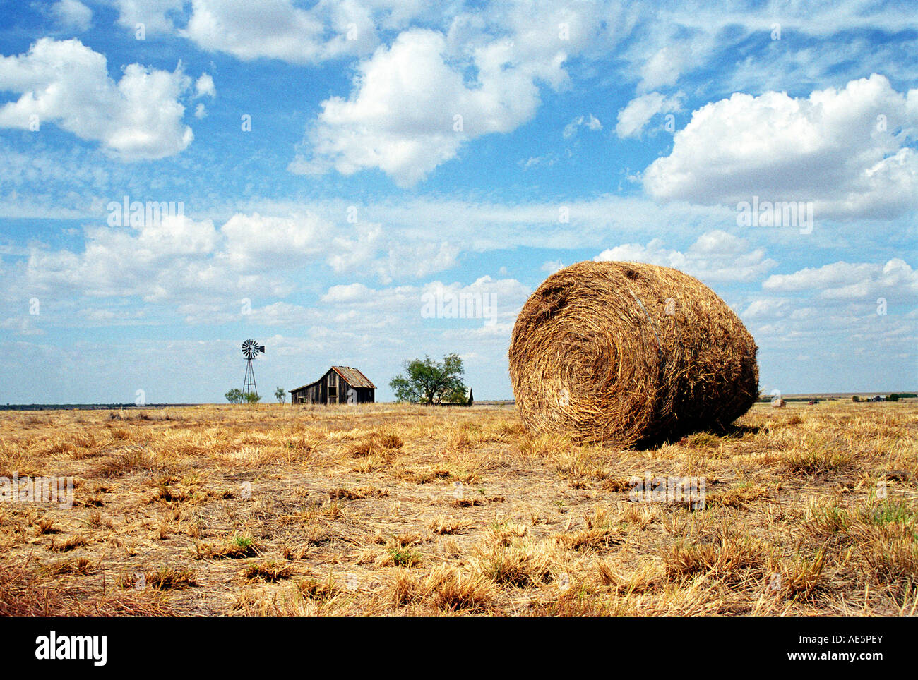 Big hay bale hi-res stock photography and images - Alamy