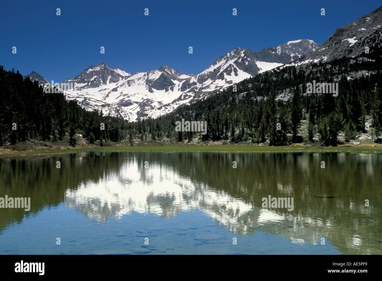 Mountain reflection in clear alpine Marsh Lake Little Lakes Valley Inyo ...