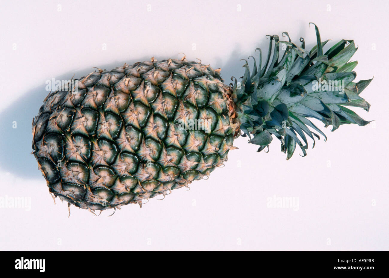 Pineapple fruit (Ananas comosus Stock Photo - Alamy