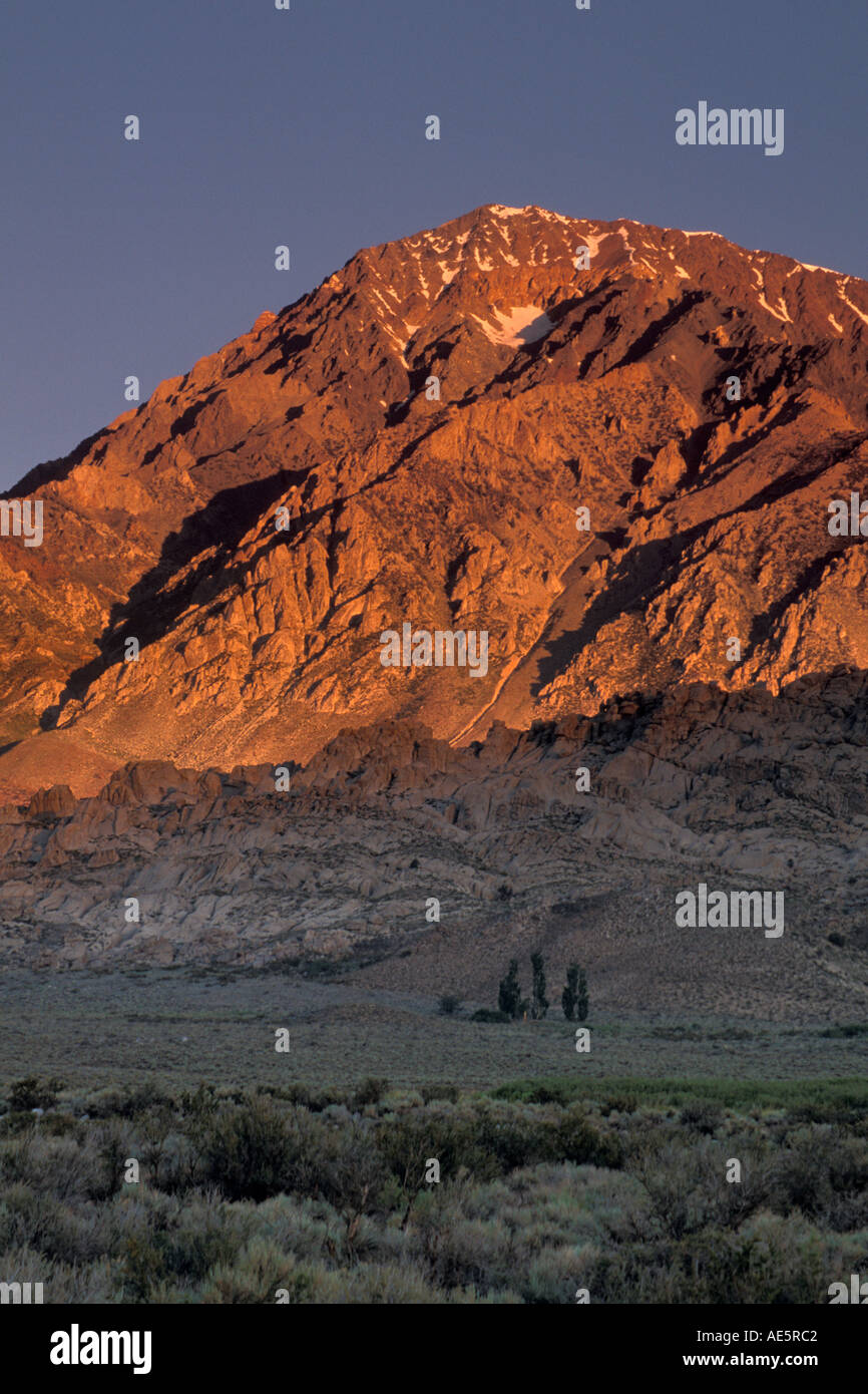 Alpenglow at sunrise on Mount Tom Buttermilk Region Inyo National ...
