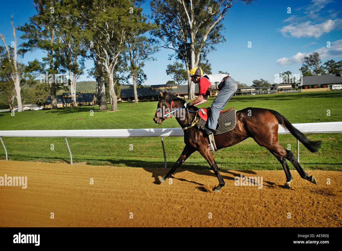 Horse Race Training on track Stock Photo - Alamy