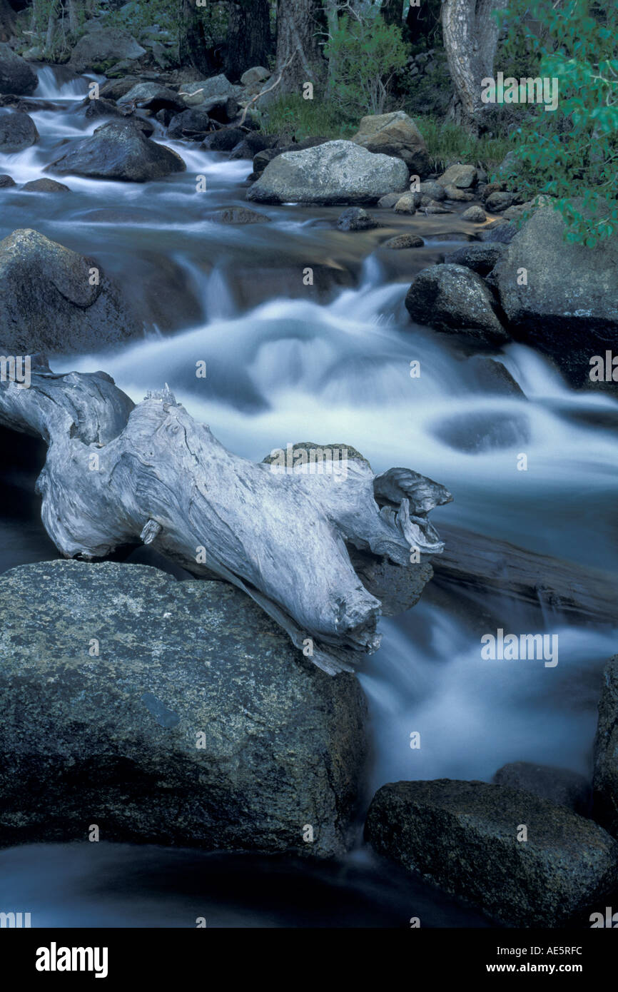 Cascade waterfalls in alpine stream on rocks Bishop Creek Inyo National ...