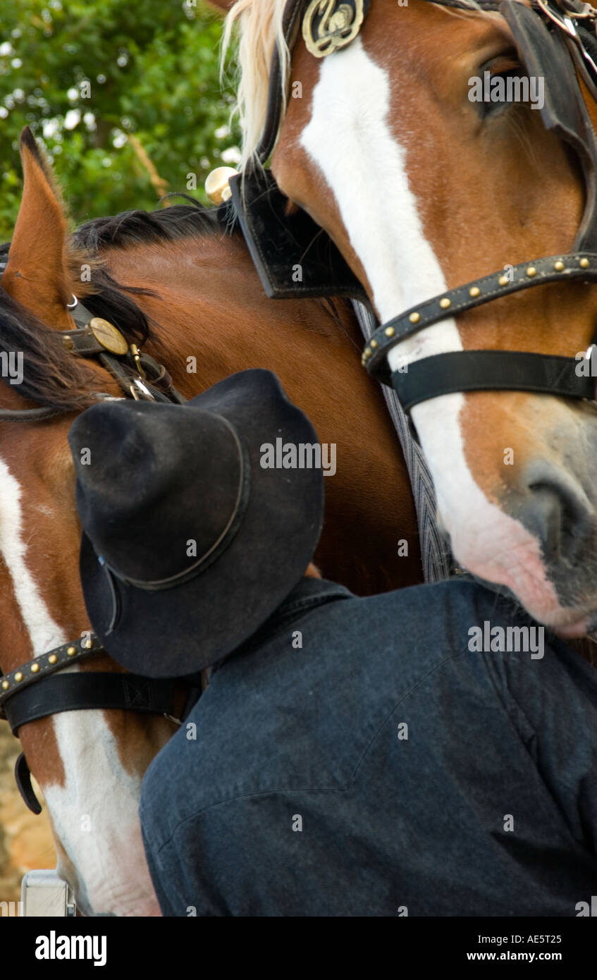 Cowboy pets his horse at Palo Duro Canyon State Park, Amarillo, Texas ...