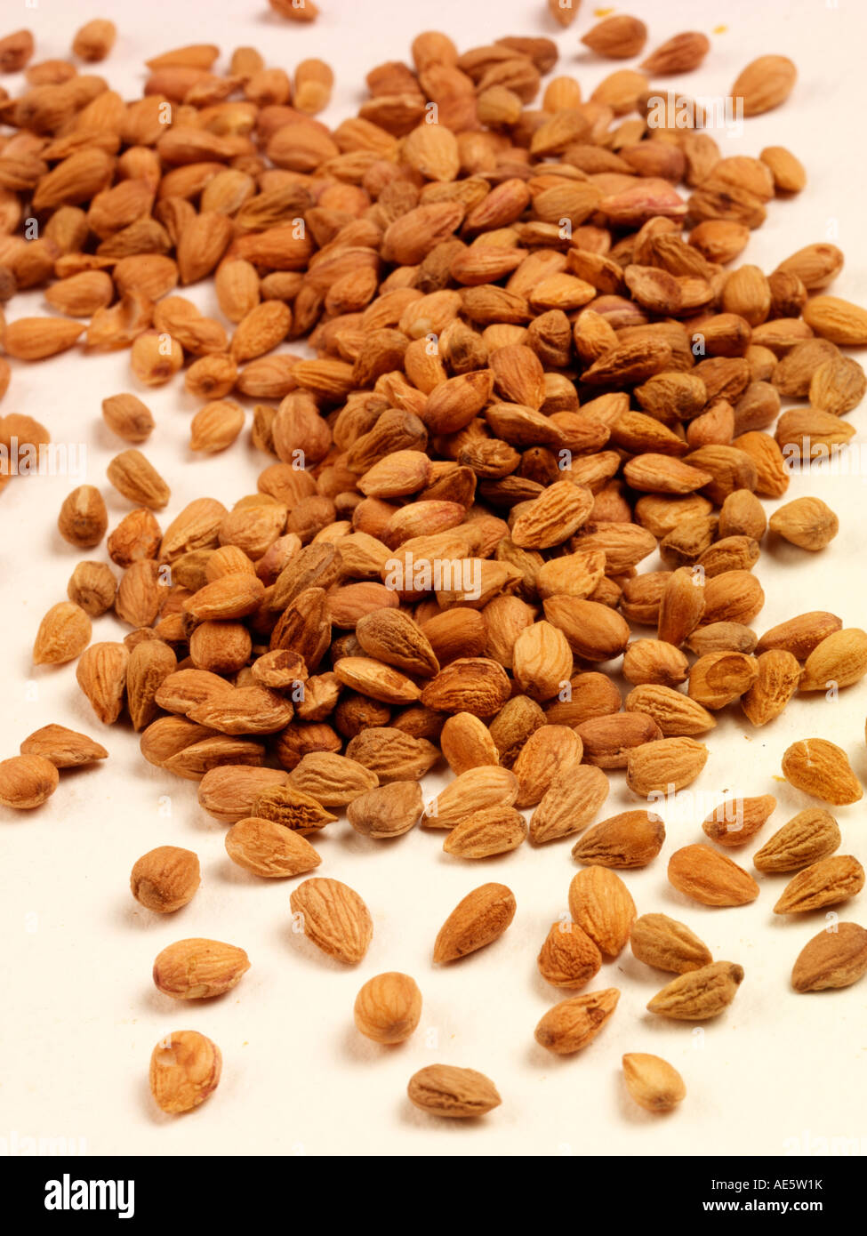 Mahleb cherry hi-res stock photography and images - Alamy