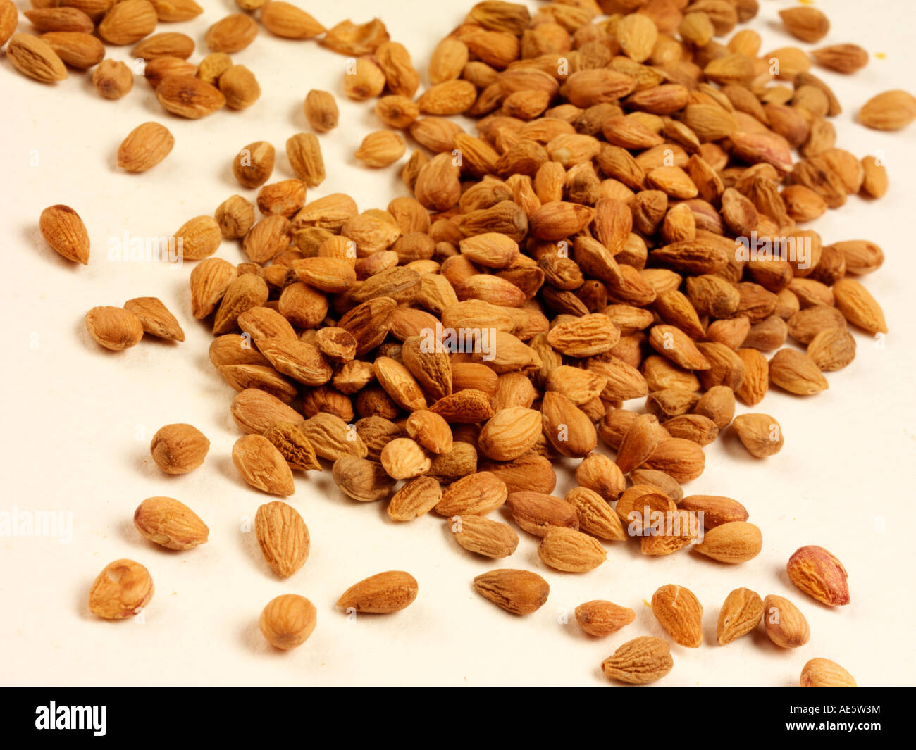 Mahleb cherry hi-res stock photography and images - Alamy