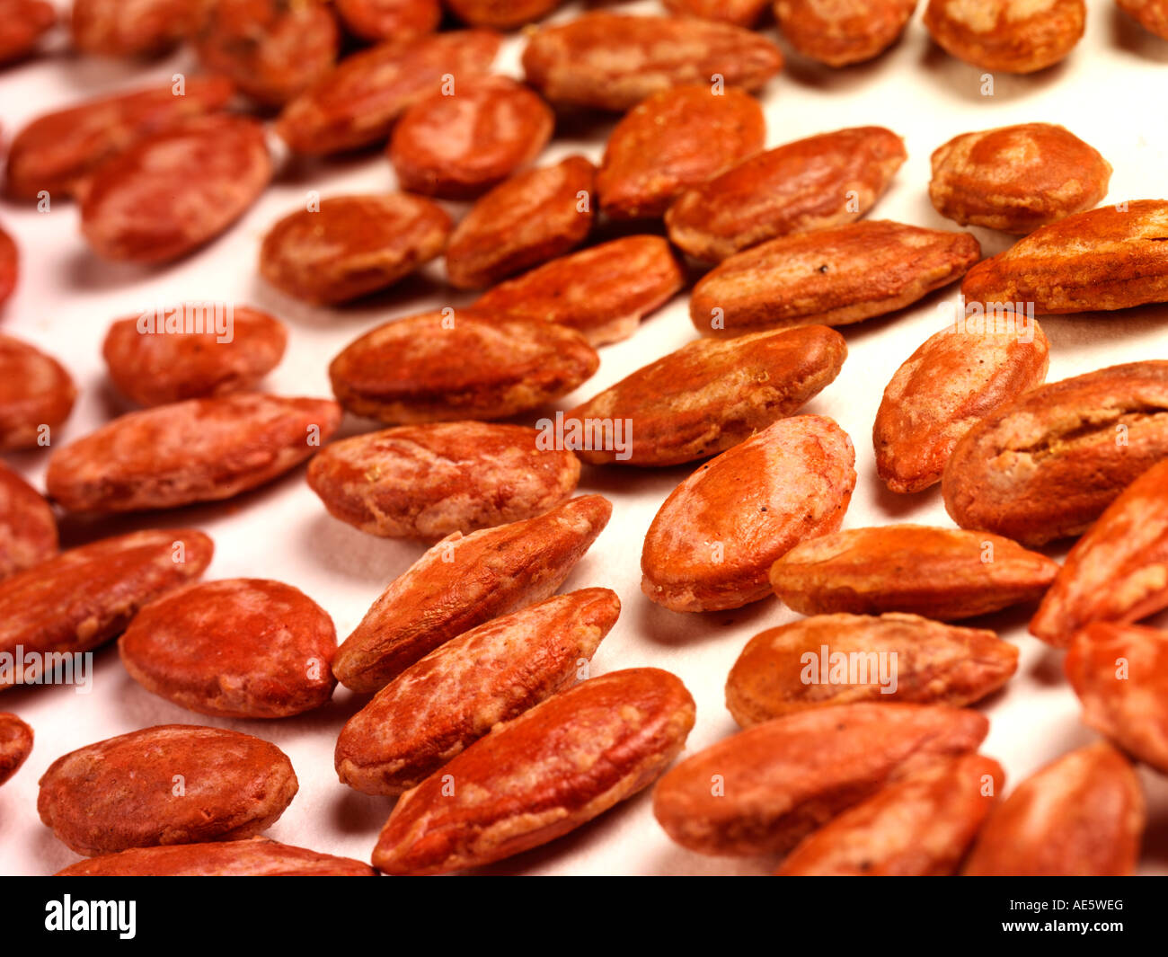 ROASTED WATERMELON SEEDS Stock Photo - Alamy