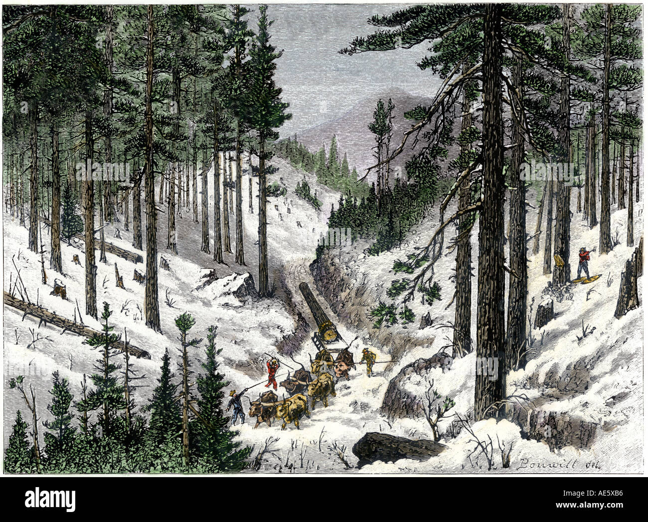 19th century logging hi-res stock photography and images - Alamy