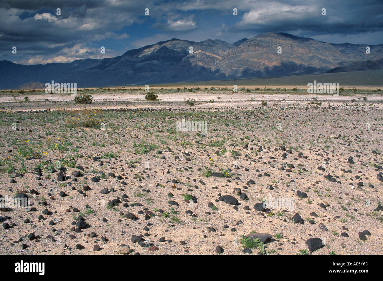 Scattered rocks on sandy basin in spring under blue skies and clouds ...