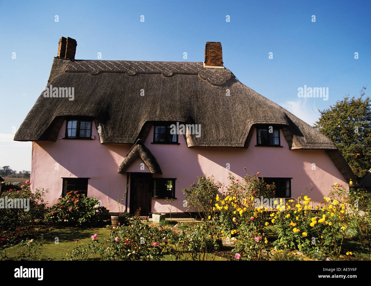 Suffolk pink hi-res stock photography and images - Alamy