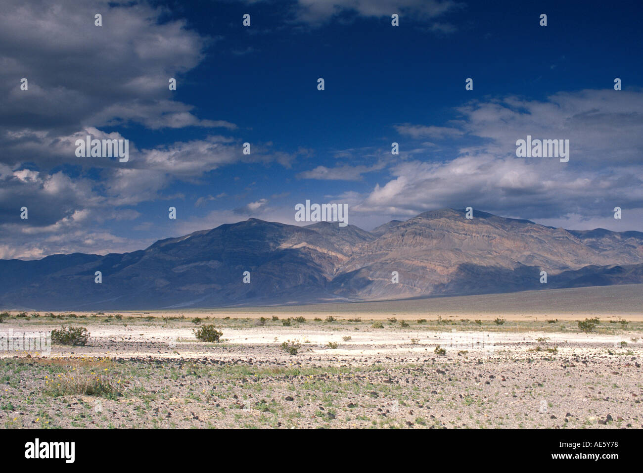 Scattered rocks on sandy basin in spring under blue skies and clouds ...