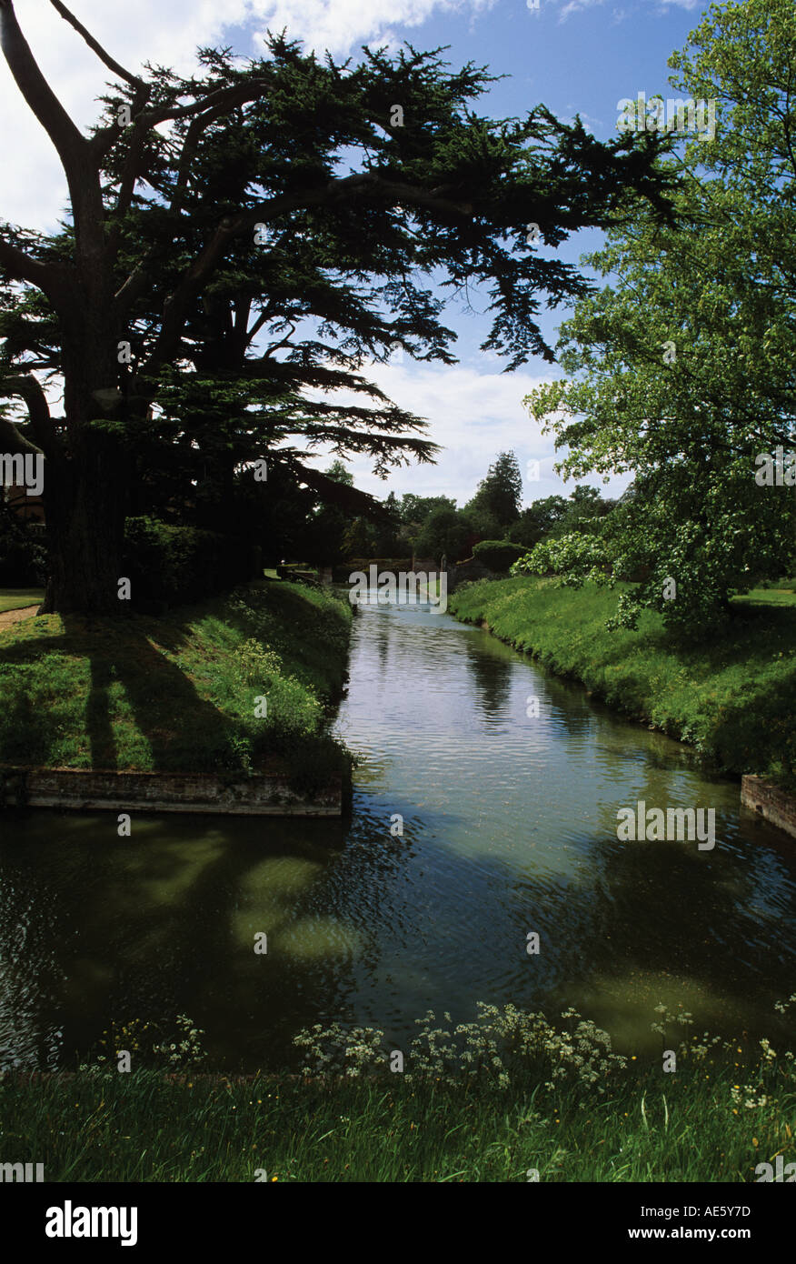 Overhung tree hi-res stock photography and images - Alamy