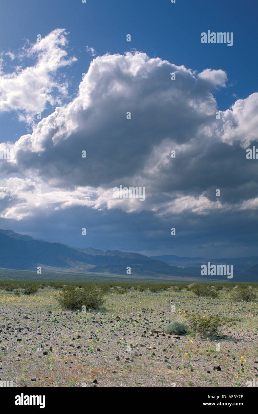 Scattered rocks on sandy basin in spring under blue skies and clouds ...