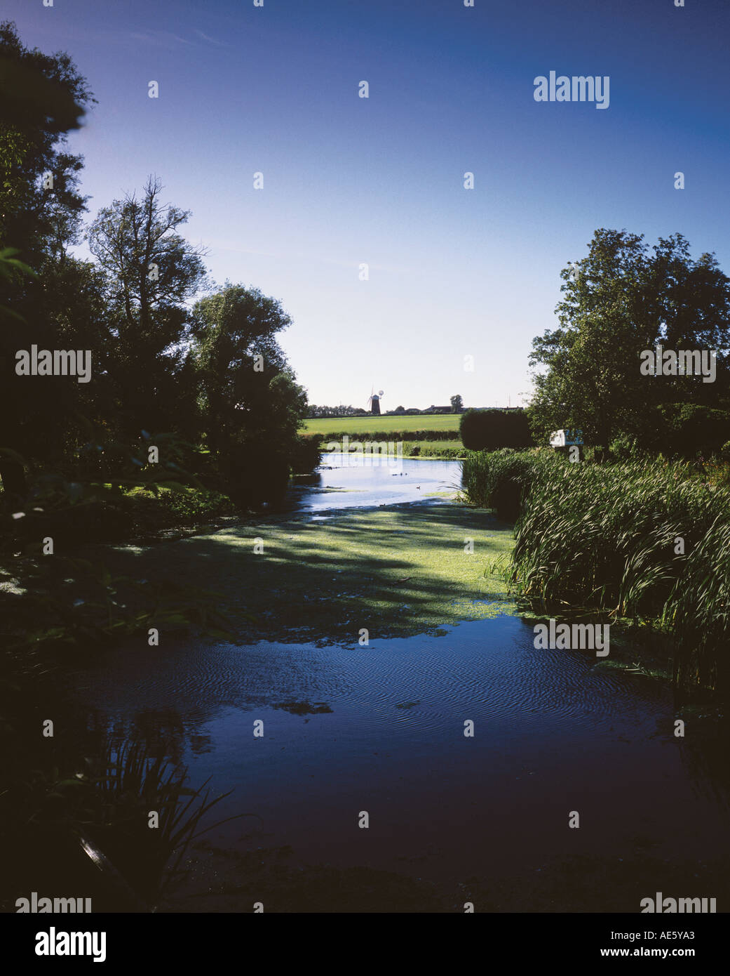 Tower mill on private farm near Little Ouse River aka The Brandon R ...