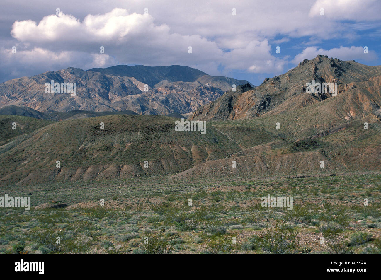 Rocky hillside desert grow desert hi-res stock photography and images ...
