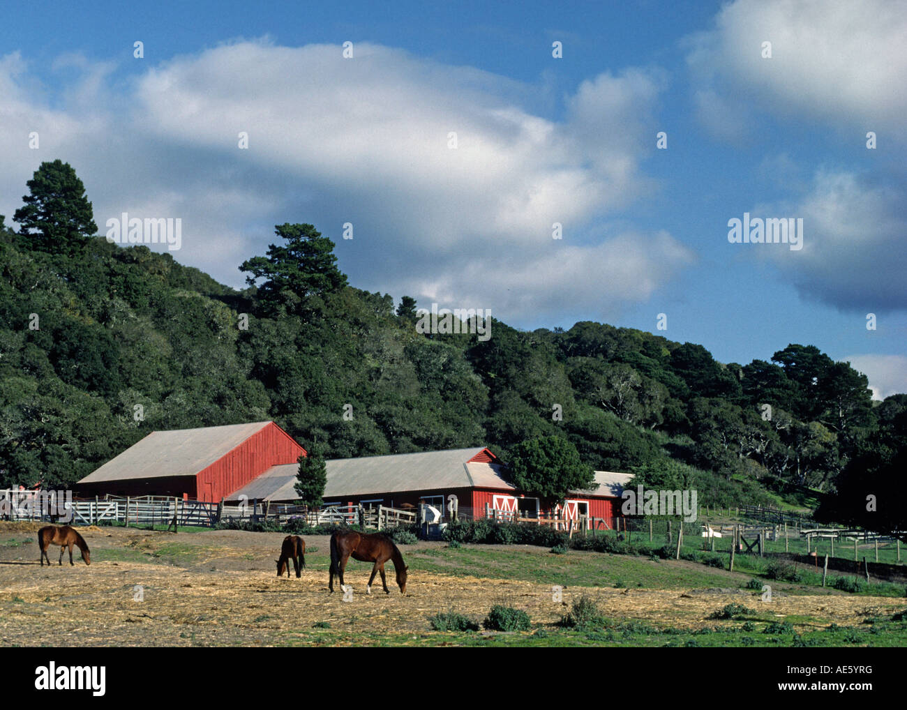 Classic red barn hi-res stock photography and images - Alamy