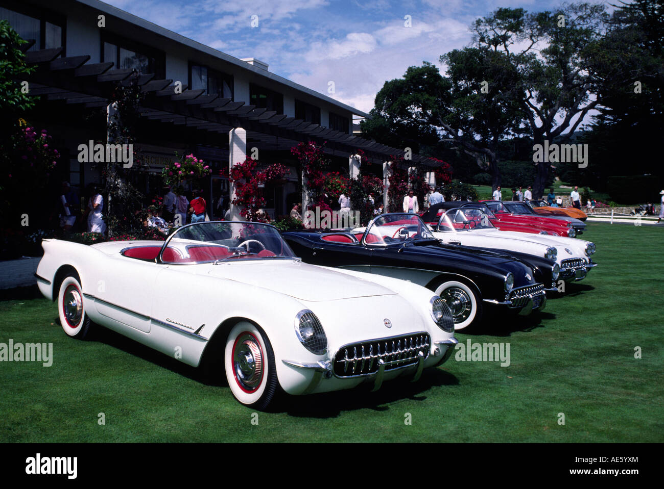 VINTAGE RARE CHEVROLET CORVETTES at the Year of the Corvette CONCOURSE ...