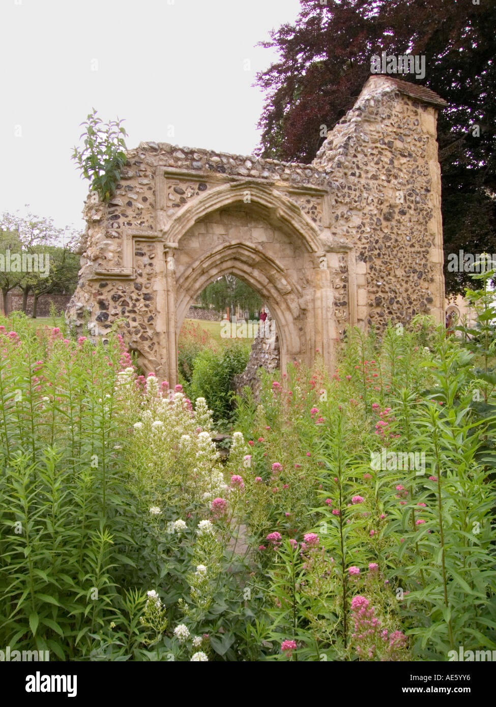 Norwich Cathedral architectural detail and medieval archway Stock Photo ...