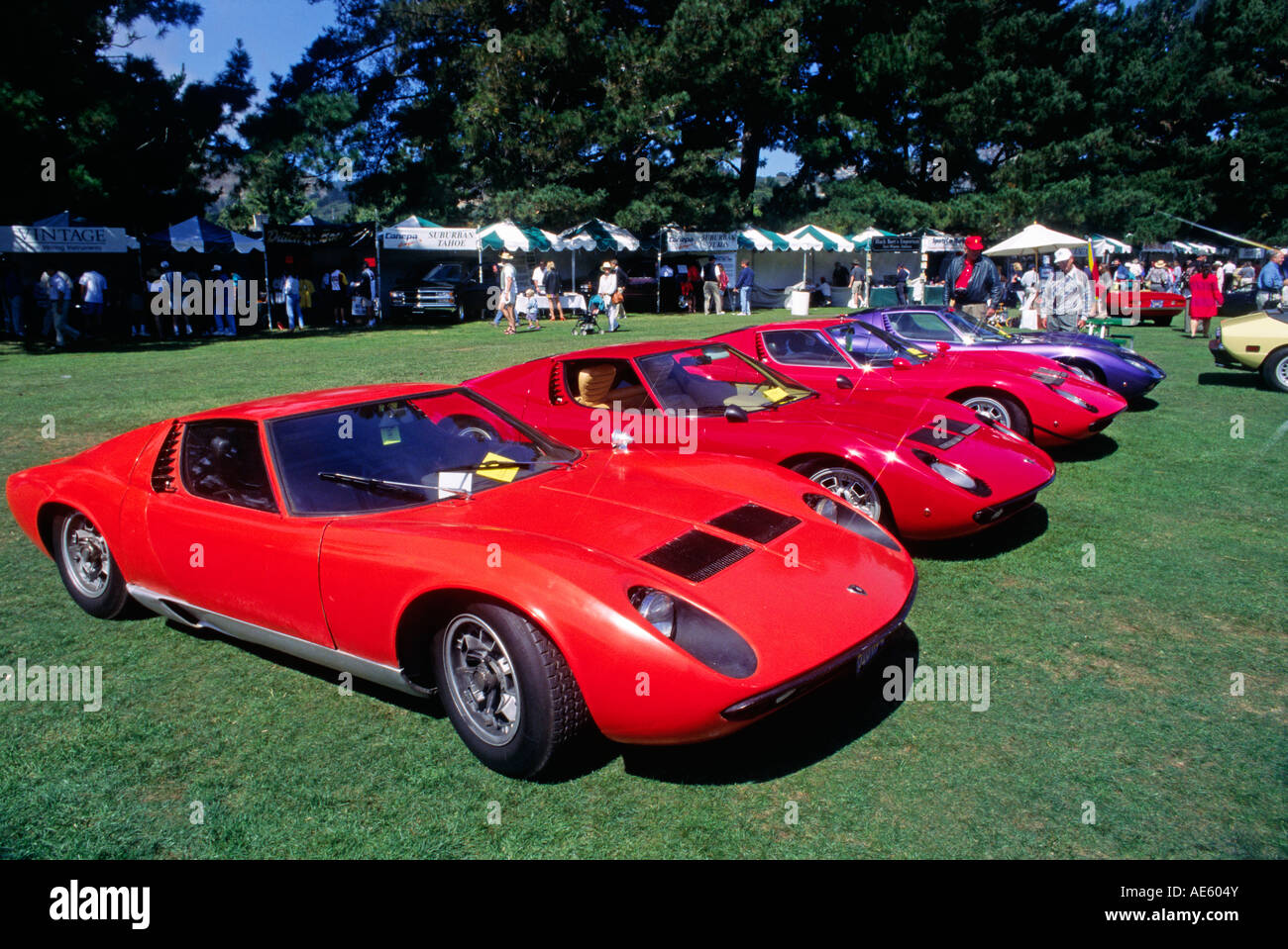 ITALIAN LAMBORGHINI SPORTS CARS at the CONCORSO ITALIANO Italian ...