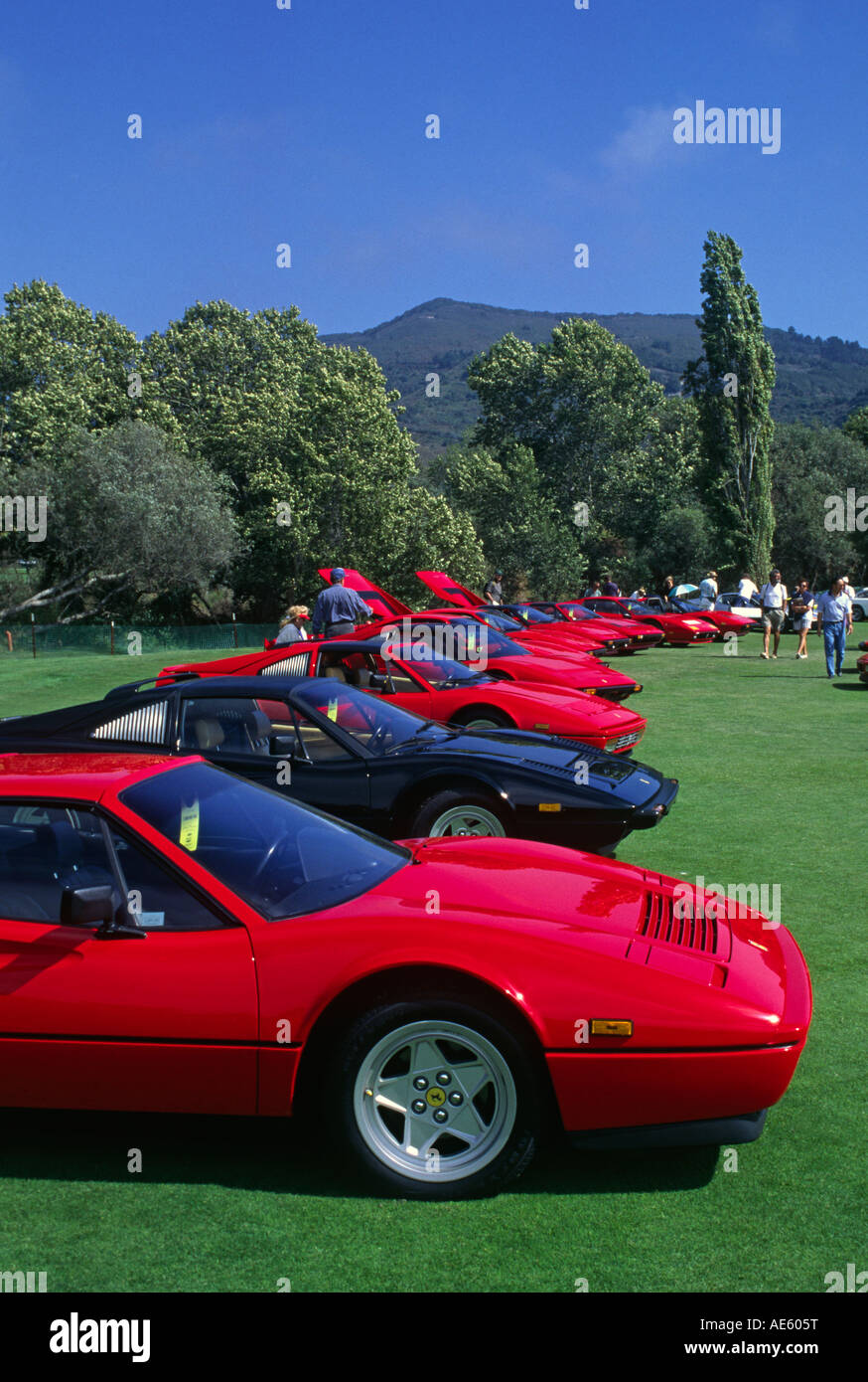 FERRARI SPORTS CARS at the CONCORSO ITALIANO Italian Concourse QUAIL ...