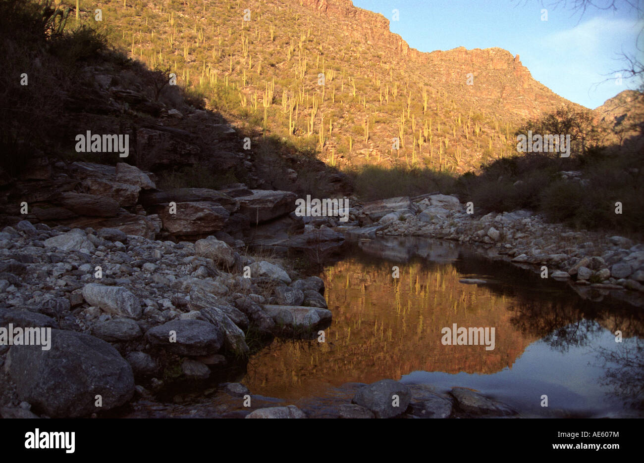Desert Waterhole Tanque Verde Canyon Tucson Arizona Stock Photo - Alamy