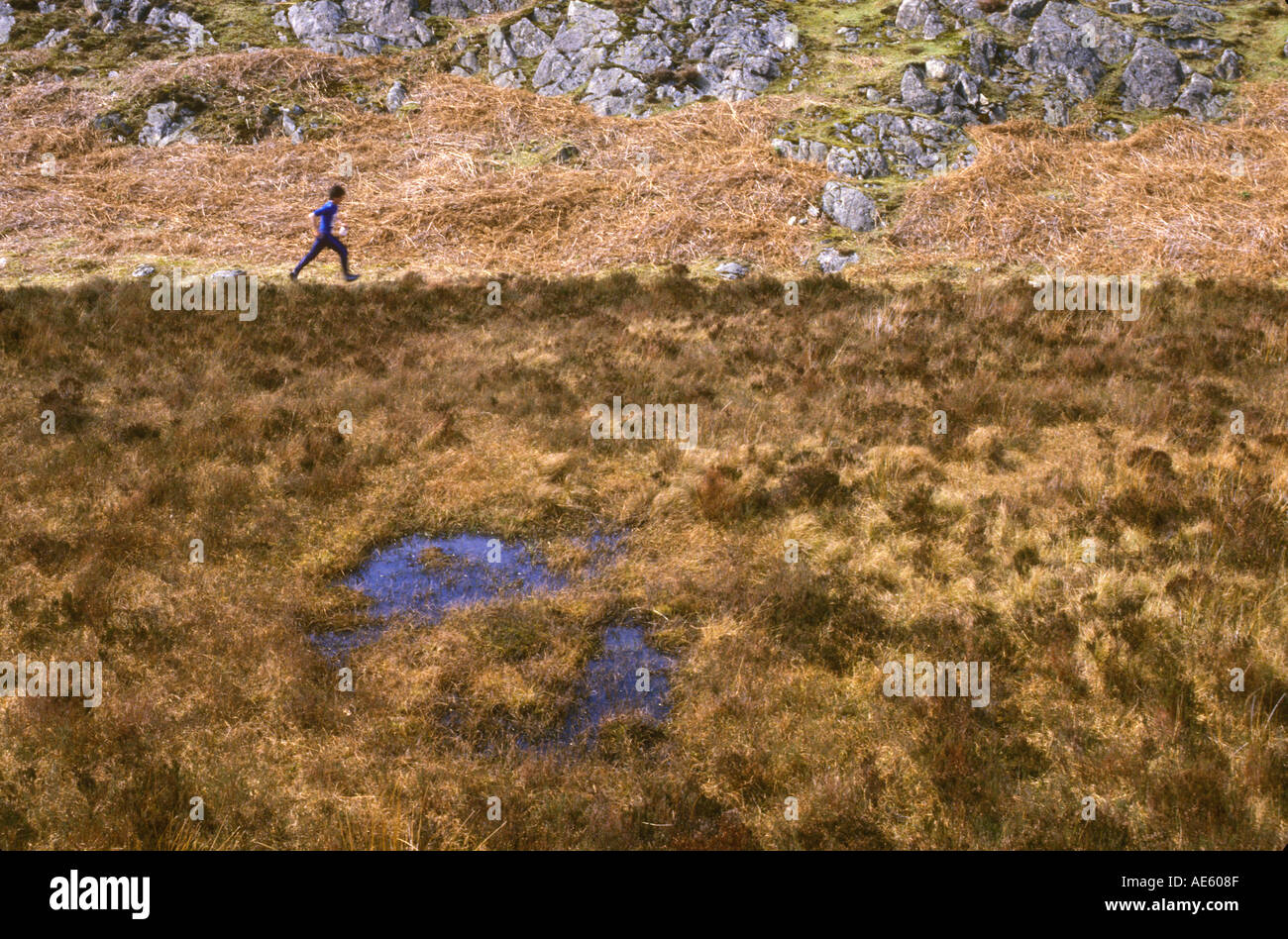 Orienteering run uk hi-res stock photography and images - Alamy